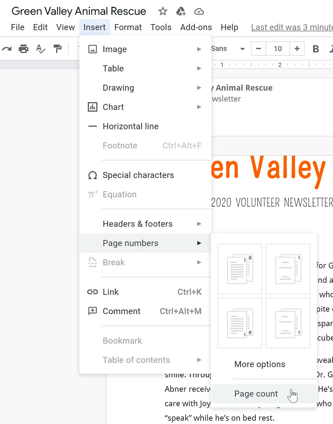  How To Make A Footnote Google Docs On Second Page Bikeshrom