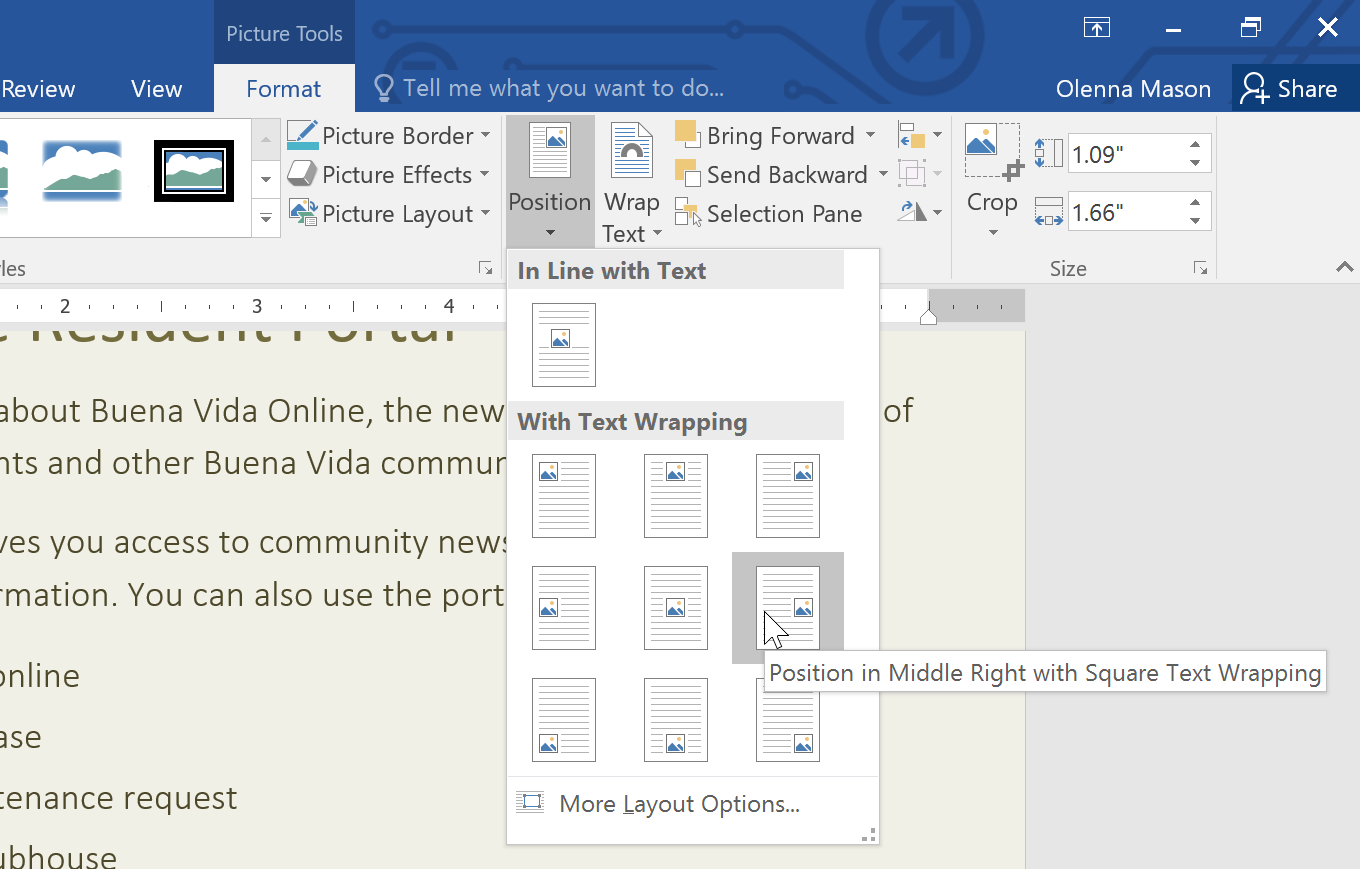 Word Pictures And Text Wrapping