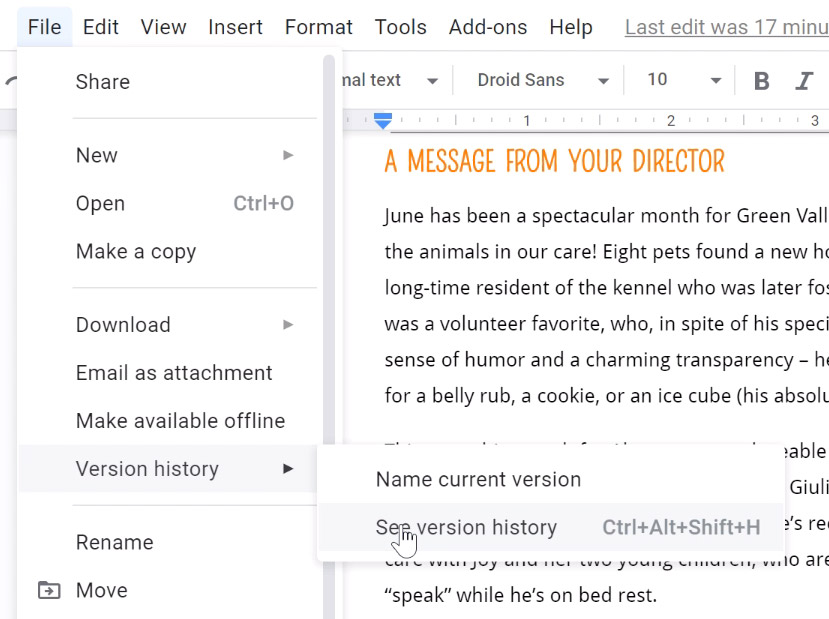 Google Docs Version History