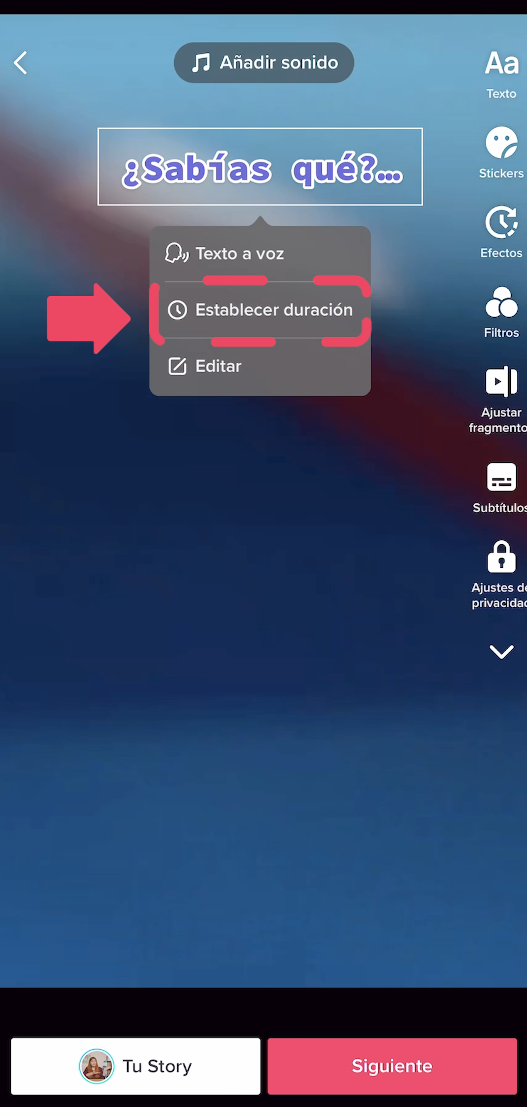 ¿Cómo usar TikTok?: ¿Cómo agregar texto a un video en TikTok?